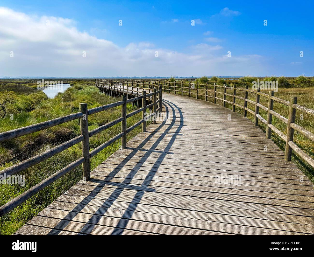 Pathway view of rural landscape near the Aveiro Lagoon at Murtosa ...