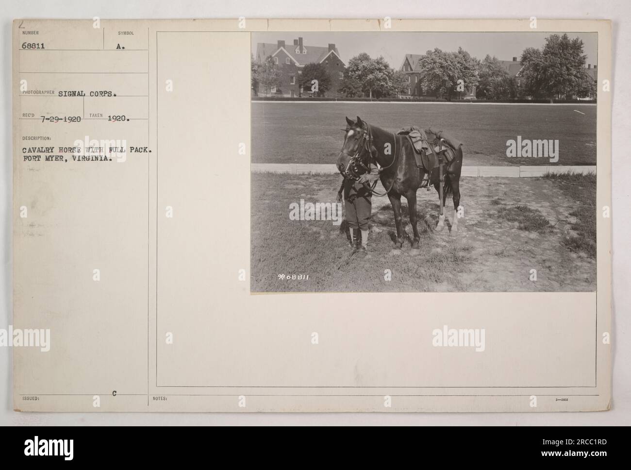 American cavalry units hi-res stock photography and images - Alamy