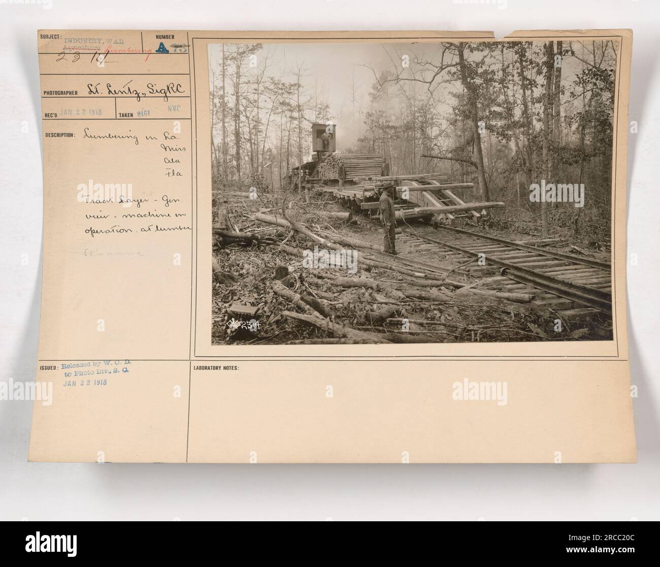A track layer machine is seen in operation during lumbering activities ...