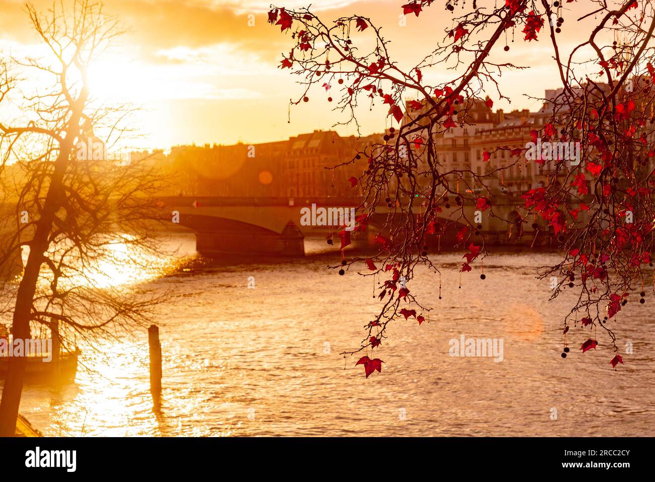 Buildings and typical French architecture around the Seine River in ...