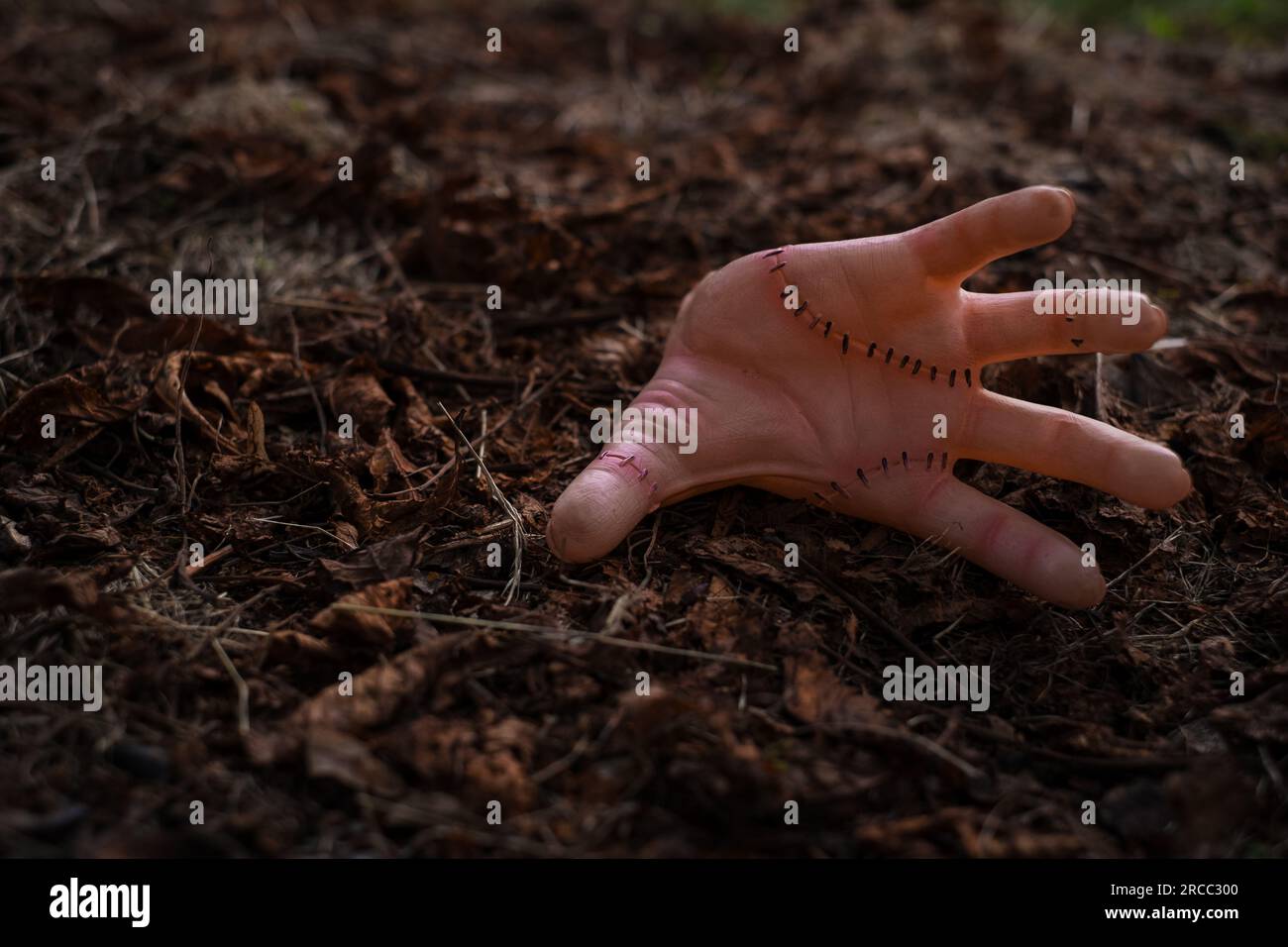 Wednesday addams hi-res stock photography and images - Alamy