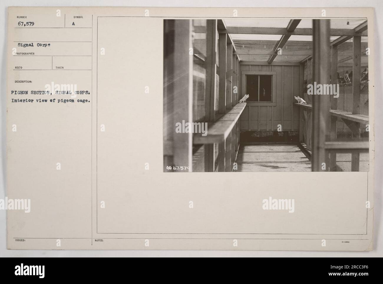 Interior view of a pigeon cage in the Pigeon Section of the Signal ...