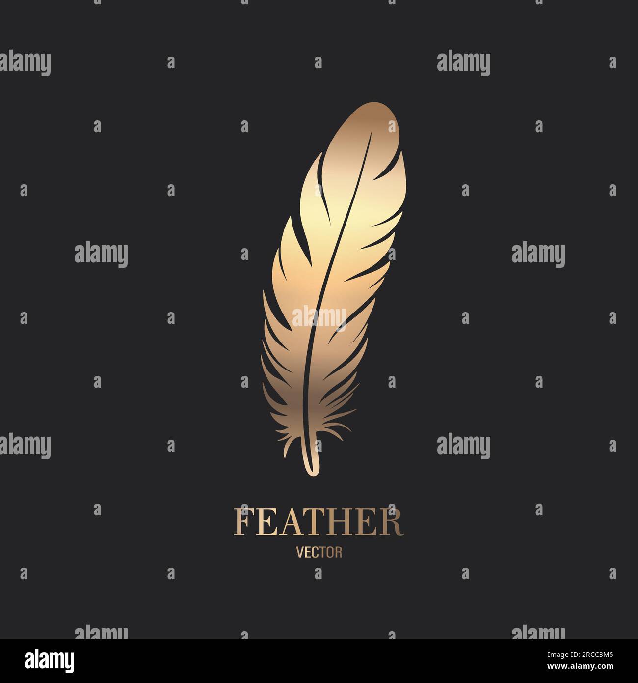 Vector Fluffy Golden Color Feather Logo Icon, Silhouette Feather ...