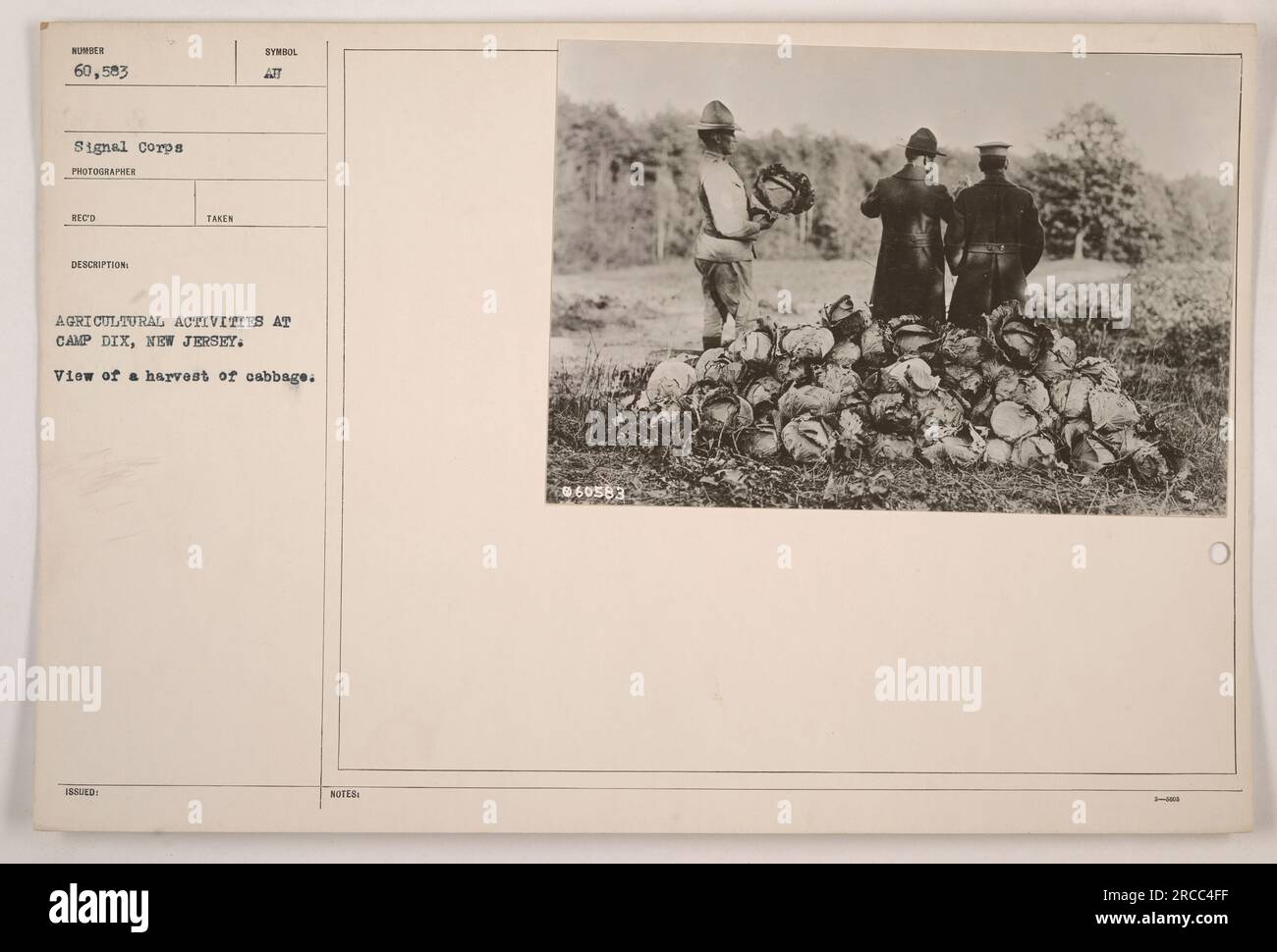 Agricultural activities at Camp Dix, New Jersey. The image shows a ...