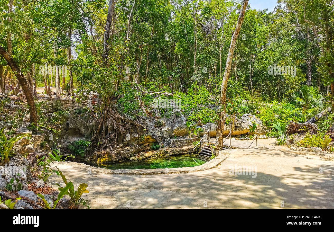 Beautiful Cenote Park Aktunchen with limestone rocks turquoise blue ...