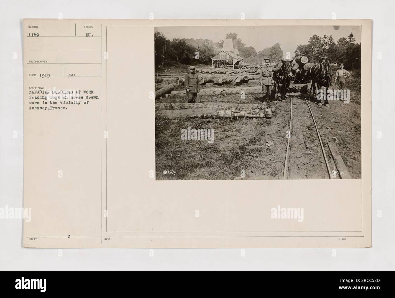 Canadian soldiers loading logs onto horse-drawn cars near Guesney ...