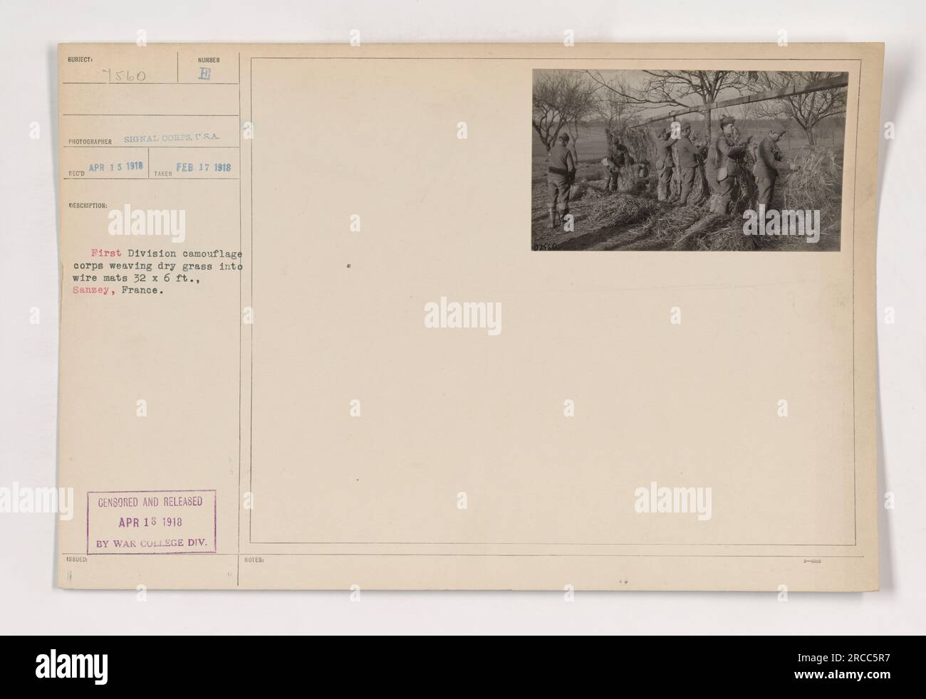 The First Division camouflage corps is seen in this photograph weaving ...