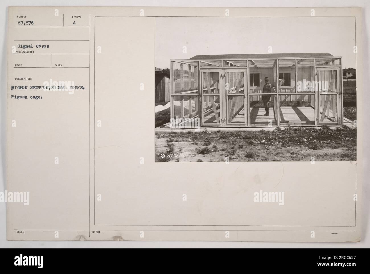 Pigeon communication equipment in ww1 hi-res stock photography and ...