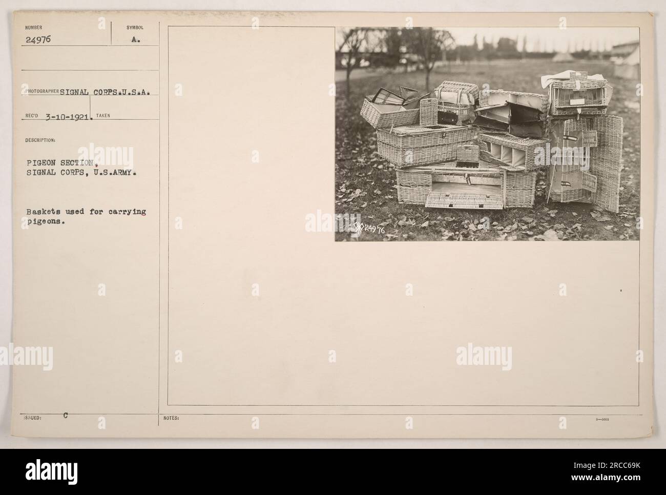 Pigeon section of the Signal Corps, U.S. Army, showcasing baskets used ...