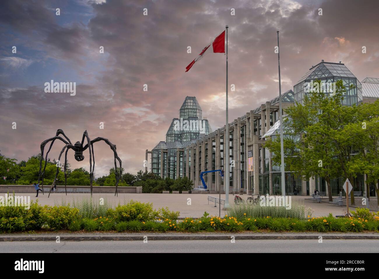 Giant spider canada hi-res stock photography and images - Alamy