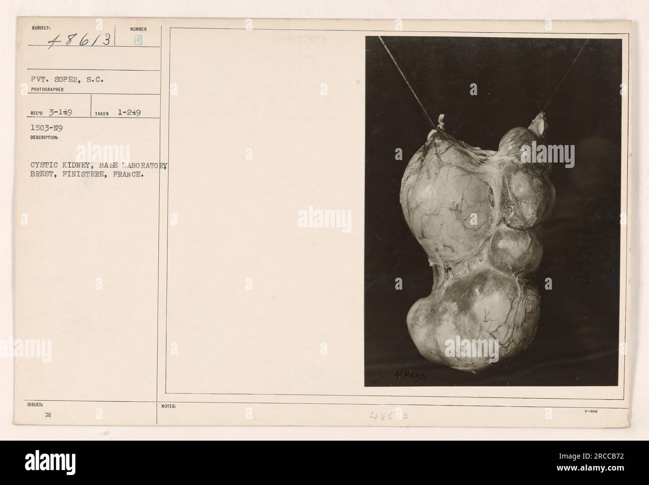 World war 1 medical laboratory hi-res stock photography and images - Alamy