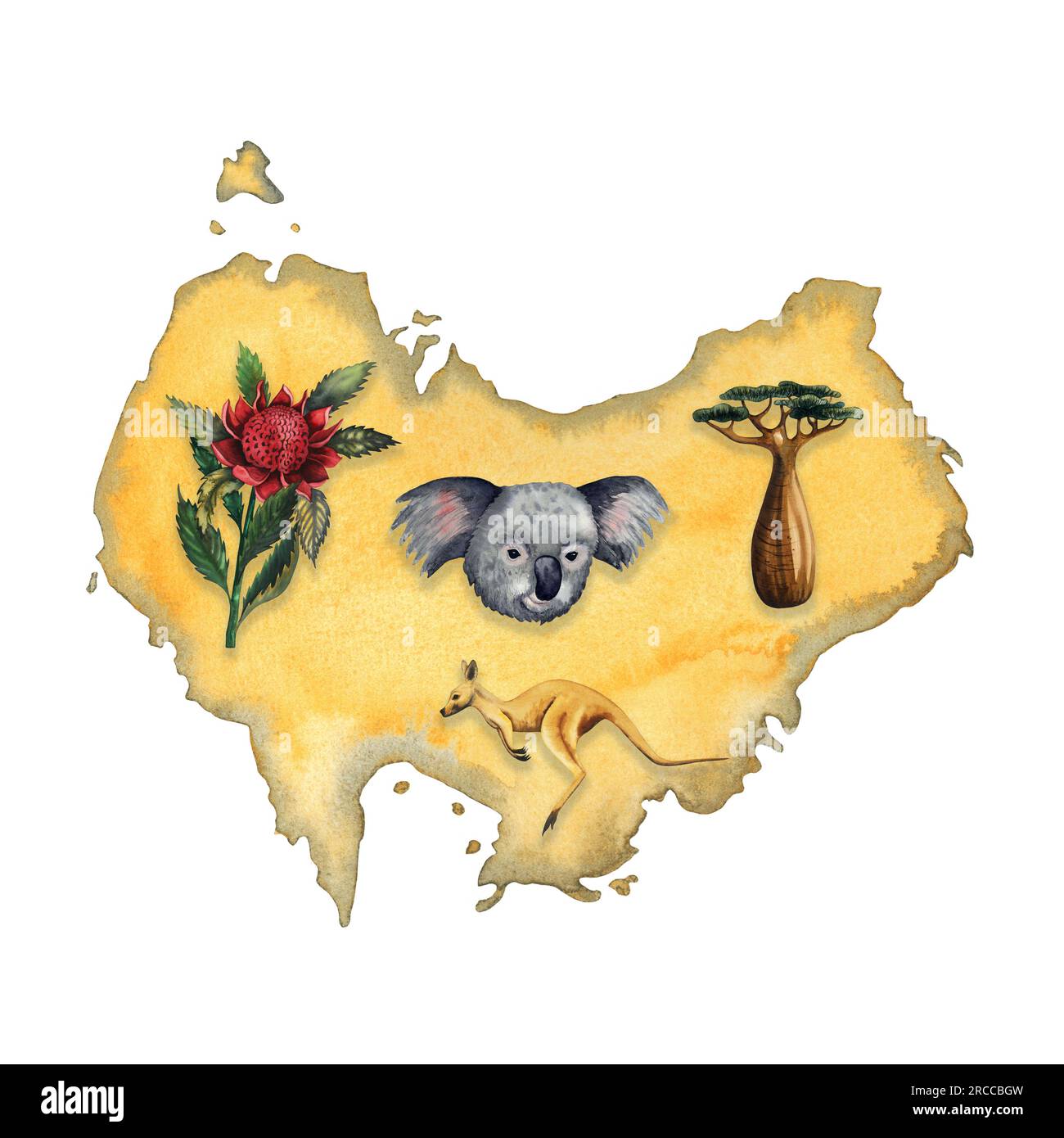Travel Australia watercolor map with decorative elements koala ...