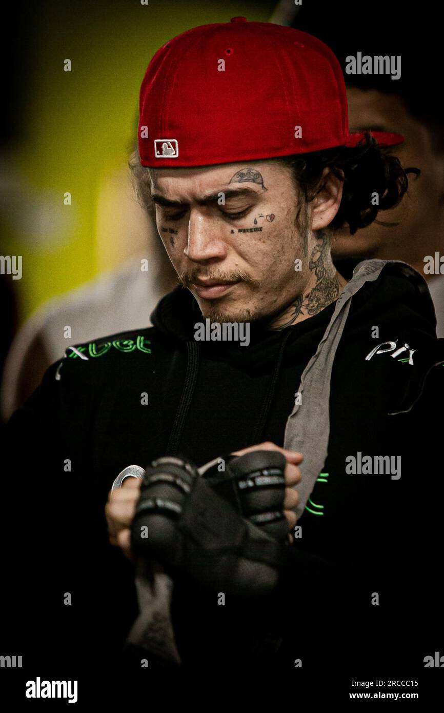 Dublin, Ireland, Ireland. 13th July, 2023. DUBLIN, IRELAND - JUL 13 ...