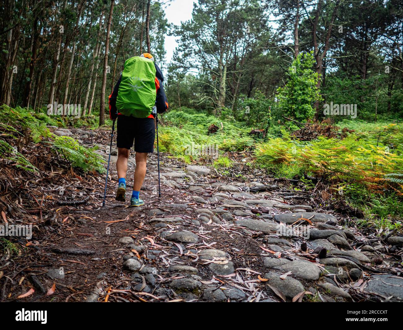 June 9, 2023, Baiona, Pontevedra, Portugal: A pilgrim is seen walking ...