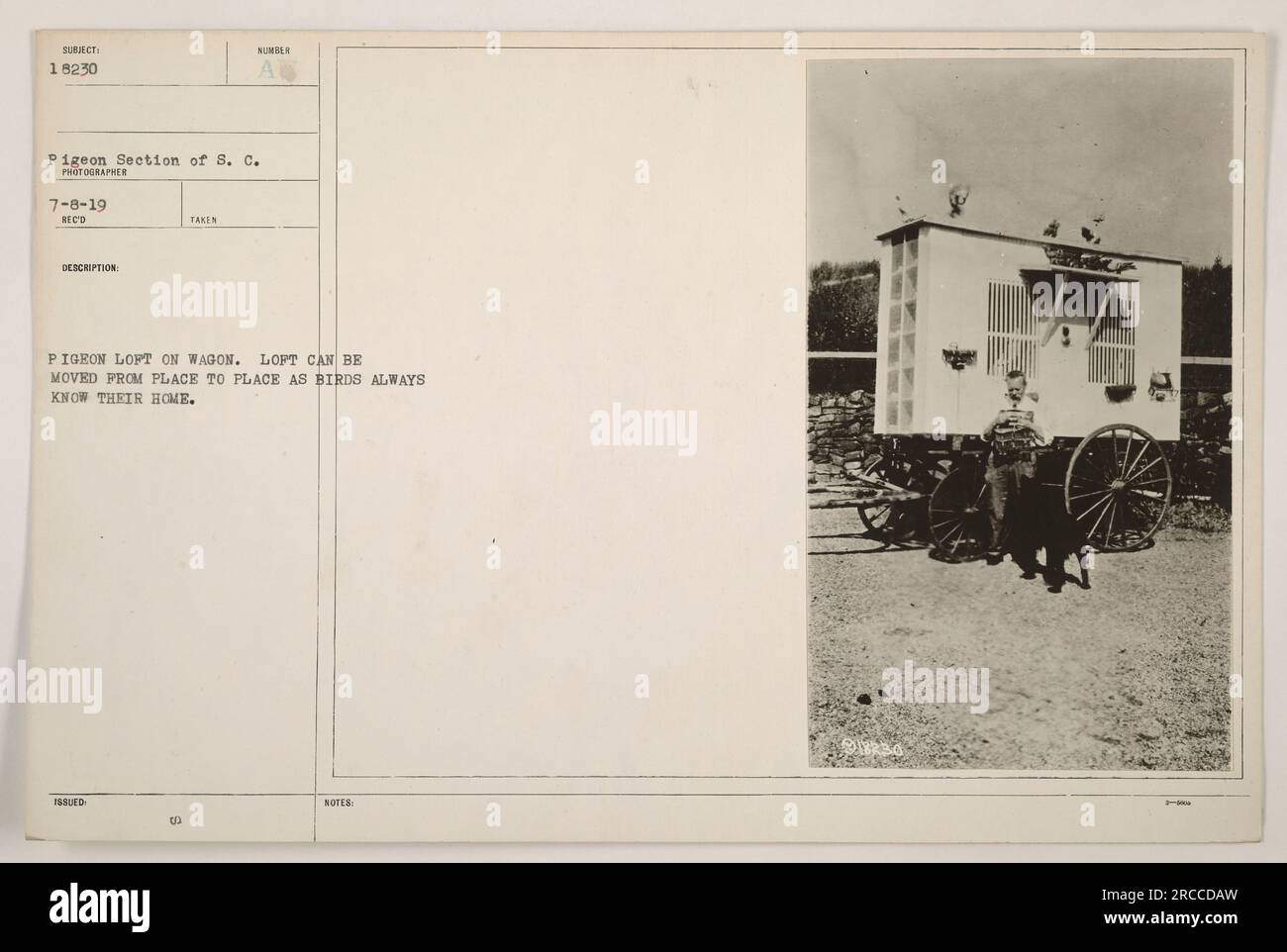 A mobile pigeon loft being transported on a wagon during World War One ...