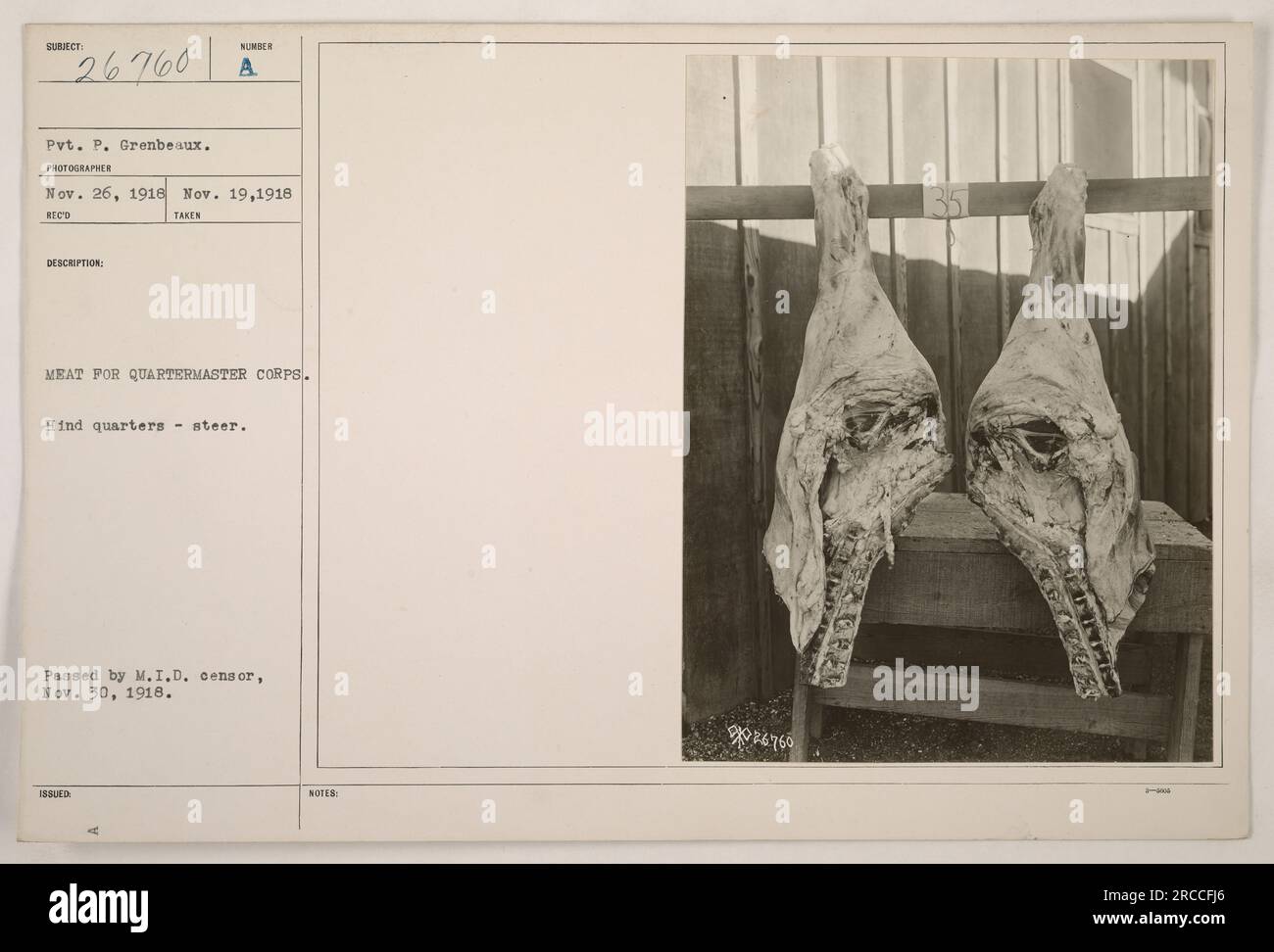 Steer quarters hi-res stock photography and images - Alamy