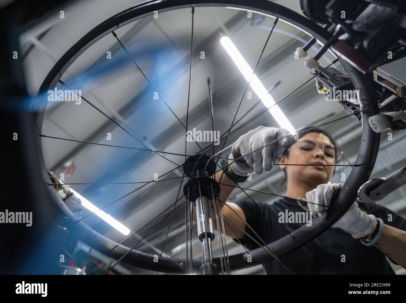 Genesis morenos hi-res stock photography and images - Alamy