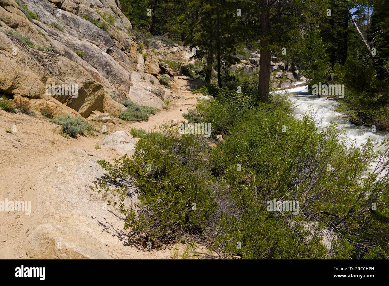 Kennedy lake trail hi-res stock photography and images - Alamy