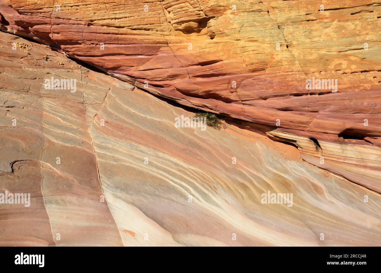 Sandstone texture in Pink Canyon - Valley of Fire State Park, Nevada ...