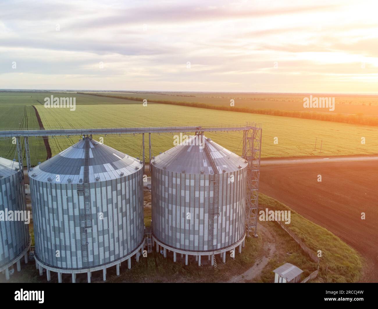 Grain silos on a green field background with warm sunset light. Grain ...