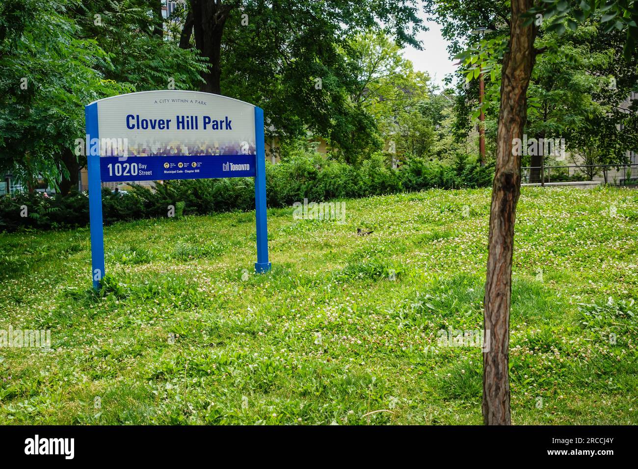 Clover hill park, Toronto, Canada Stock Photo - Alamy