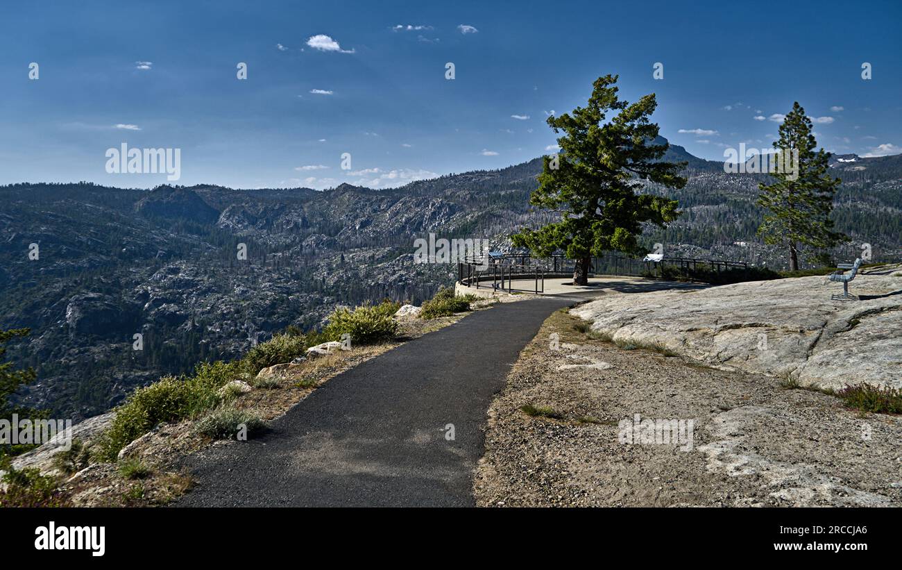 Curved paved path leads to two pine trees surrounded by the alpine ...