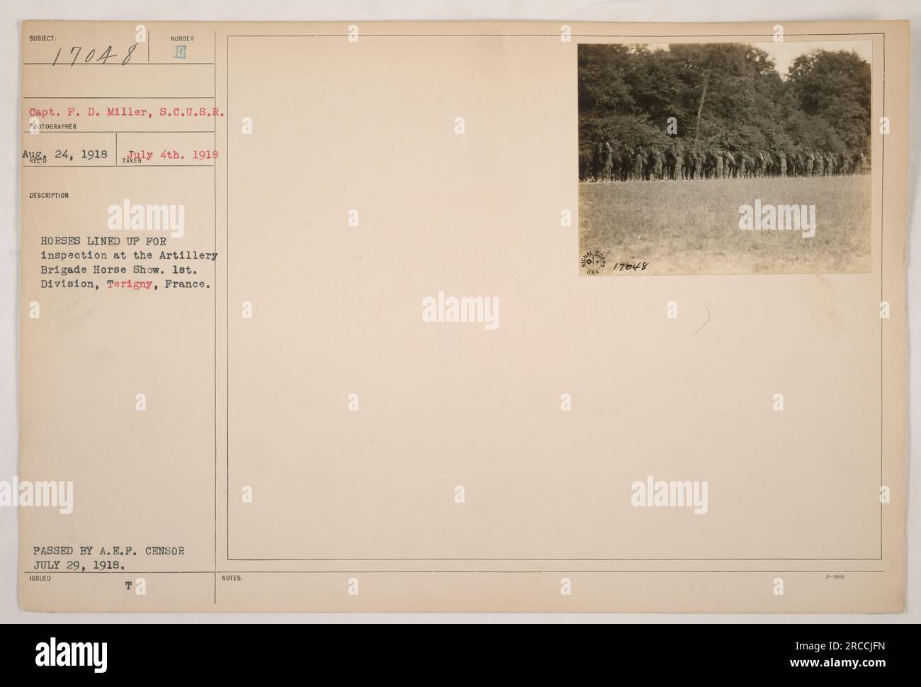 Horses lined up for inspection at the Artillery Brigade Horse Show in ...