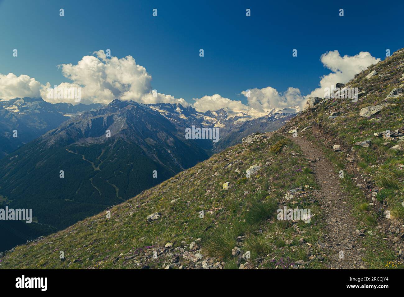 The beautiful valley in front of the Gran Paradiso in a summer day ...