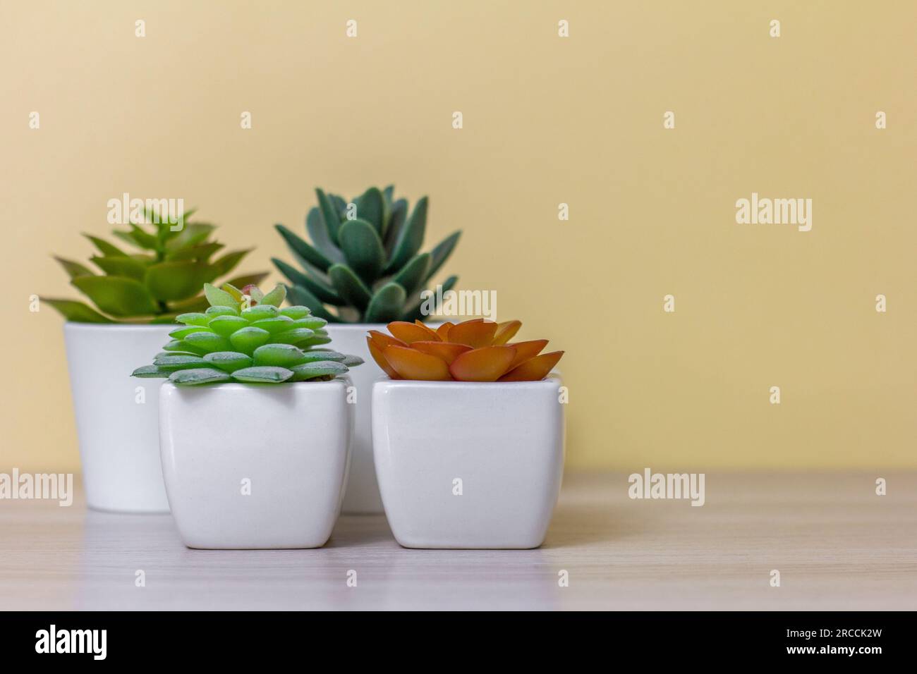 Indoor artificial plants, various succulents in pots. Succulents in ... Indoor artificial plants, various succulents in pots. Succulents in ...