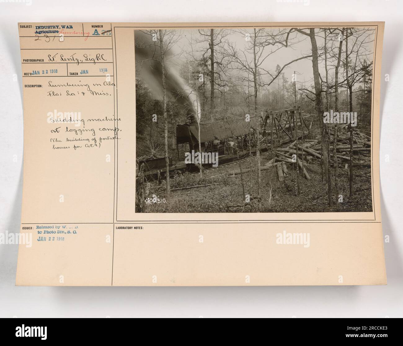 Skidding machine at a logging camp during lumbering activities in ...