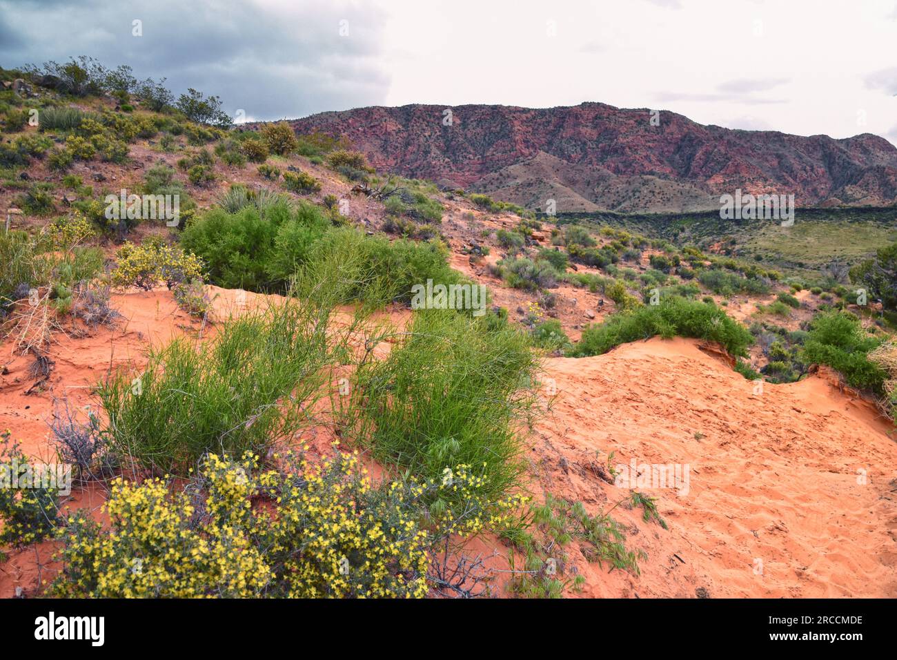 Gunlock Falls State Park Reservoir waterfall views, Utah by St George ...