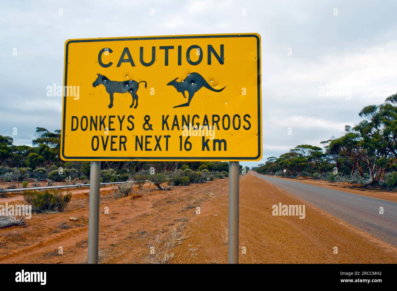 Road sign warning of the hazard of both kangaroos and donkeys on the ...