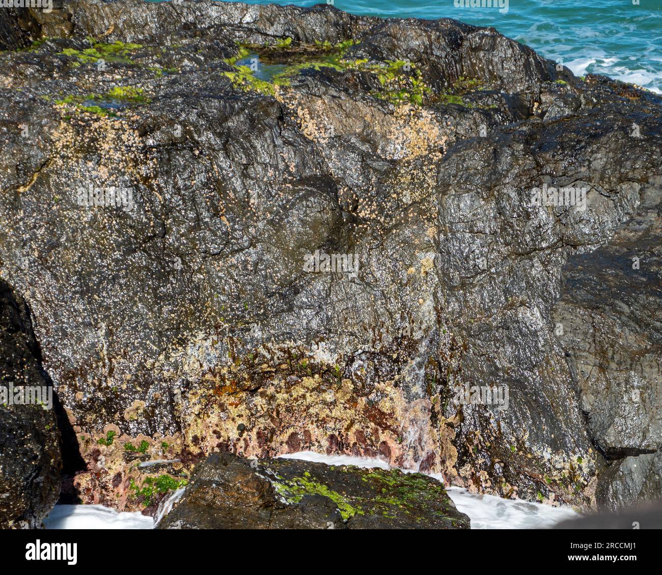 A wet and mossy rock at the headland next to the blue sea Stock Photo ...