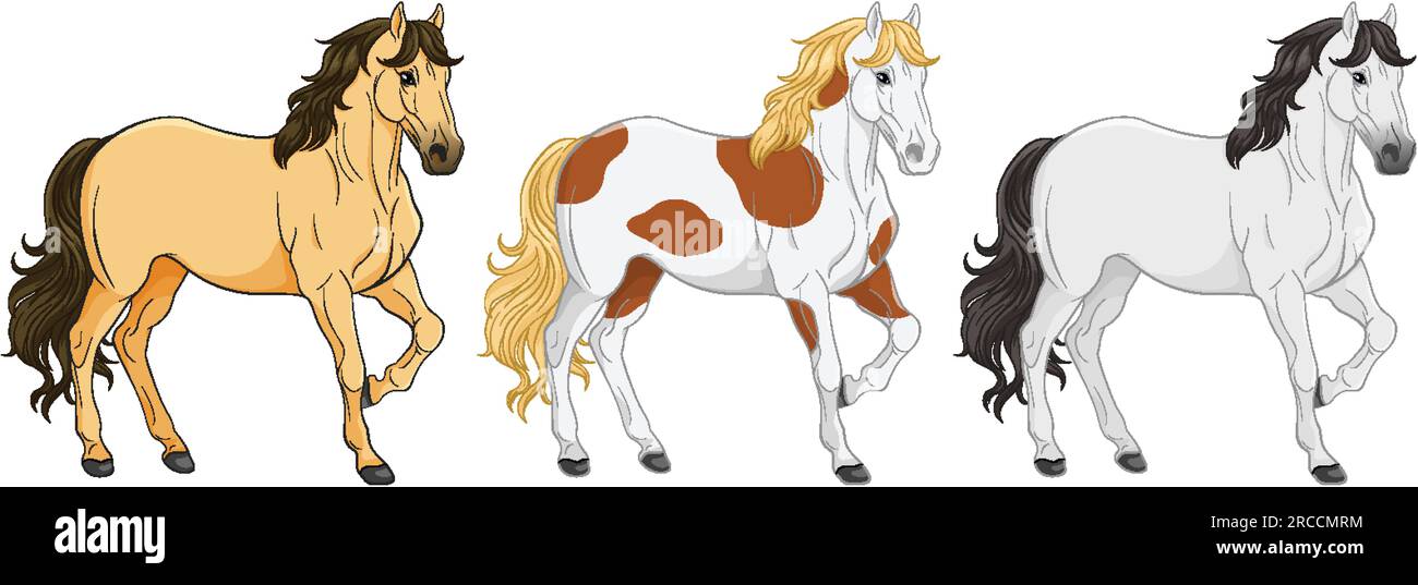 Set of horse cartoon isolated illustration Stock Vector Image & Art - Alamy