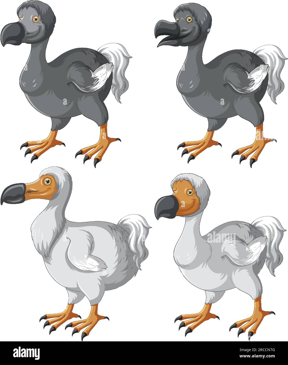 Dodo birds hi-res stock photography and images - Alamy