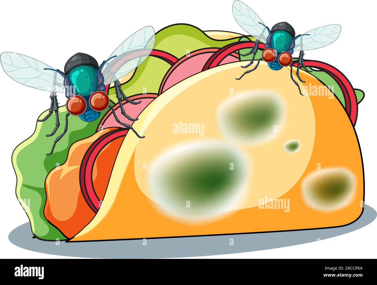 Taco food decomposing with fly and mold illustration Stock Vector Image ...