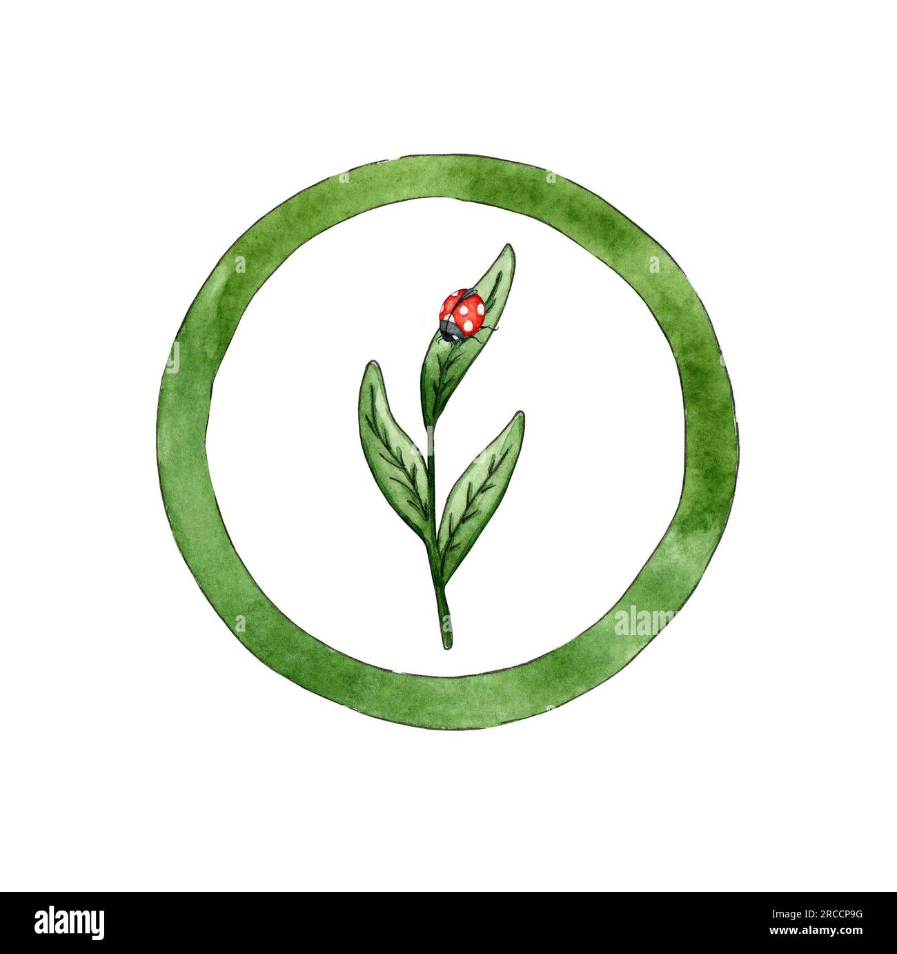 Watercolor illustration logo design sprout in green circle and ladybug ...