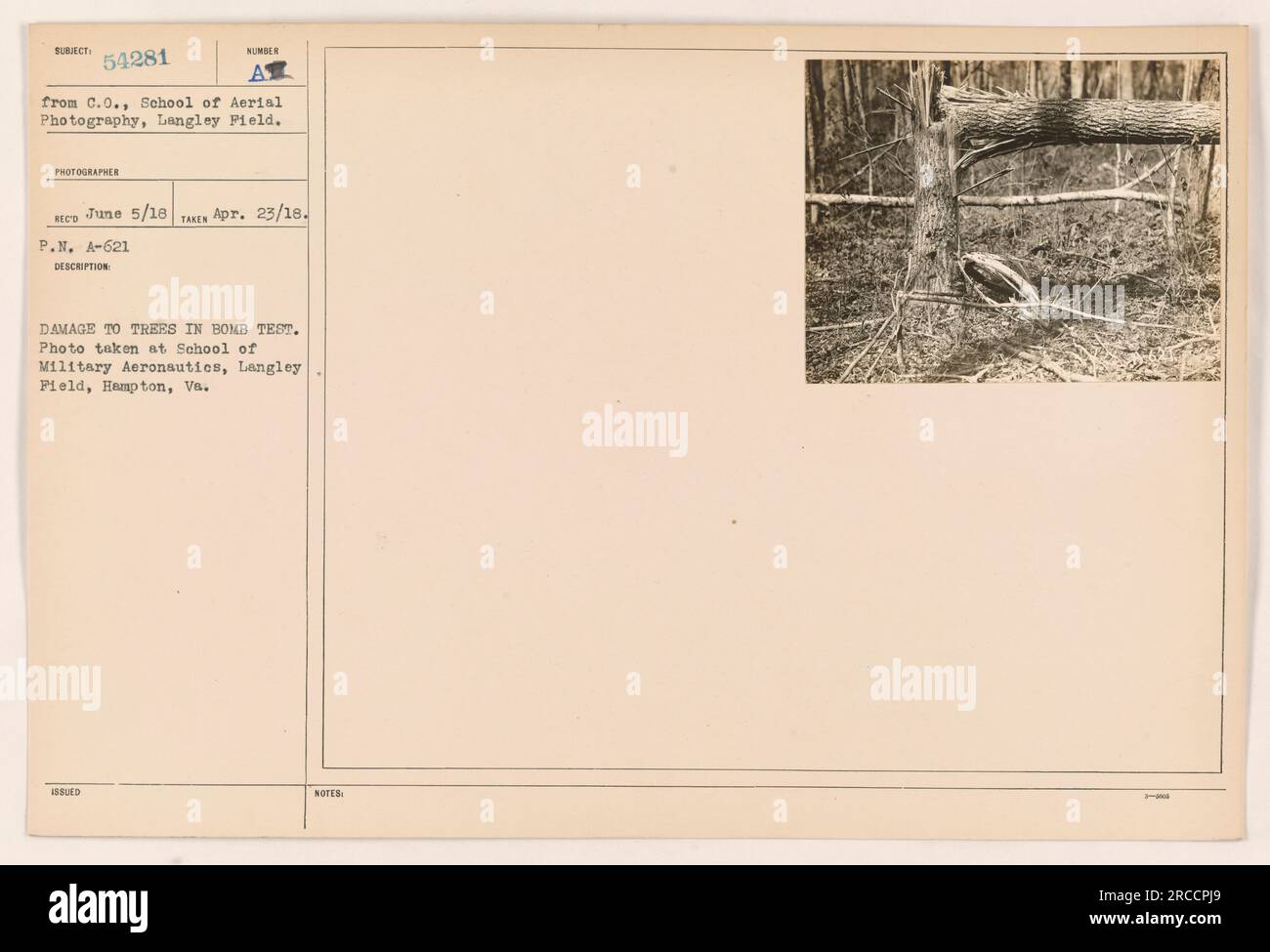 This photograph shows the damage caused to trees during a bomb test at ...