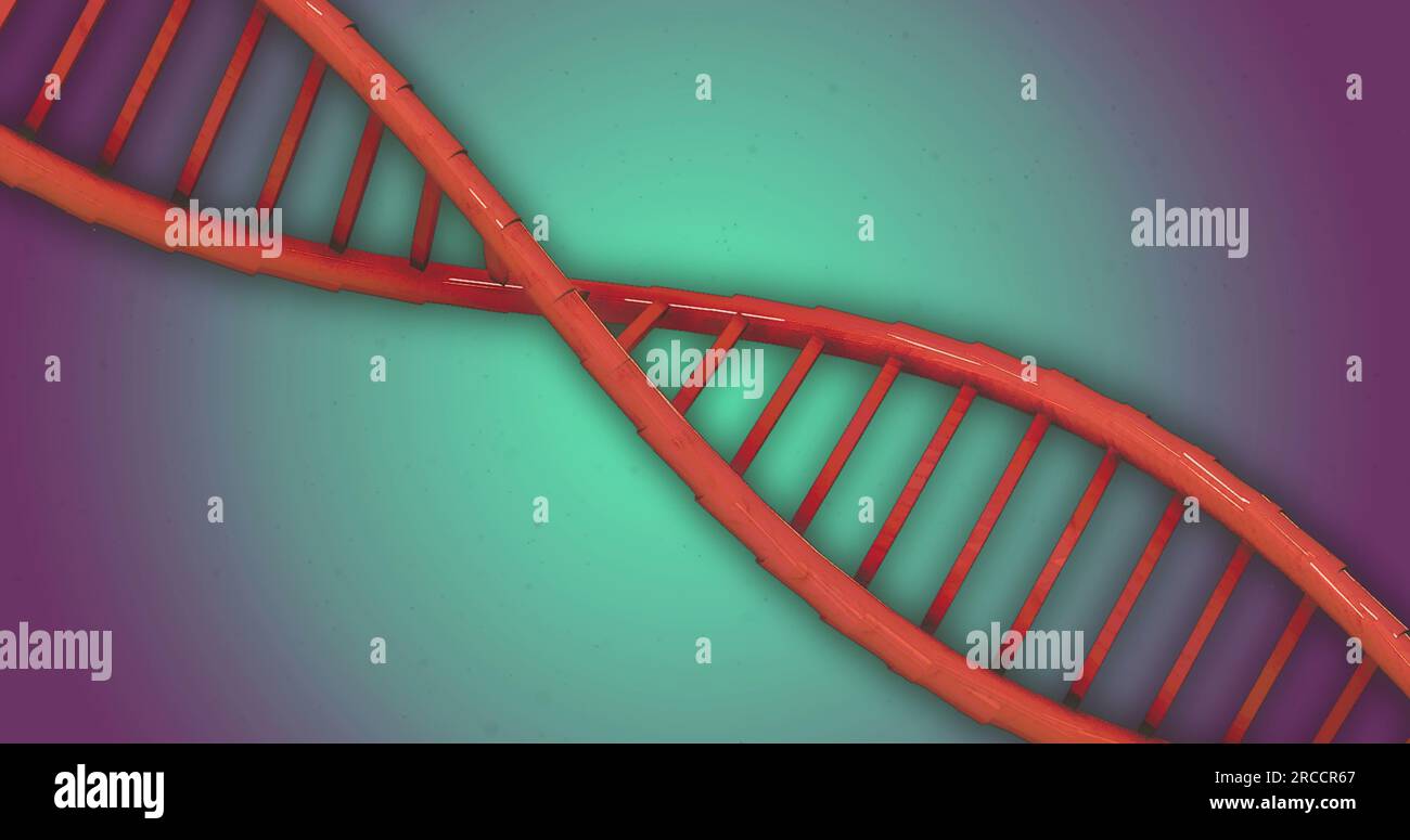 Composition of orange dna stand over green background Stock Photo - Alamy