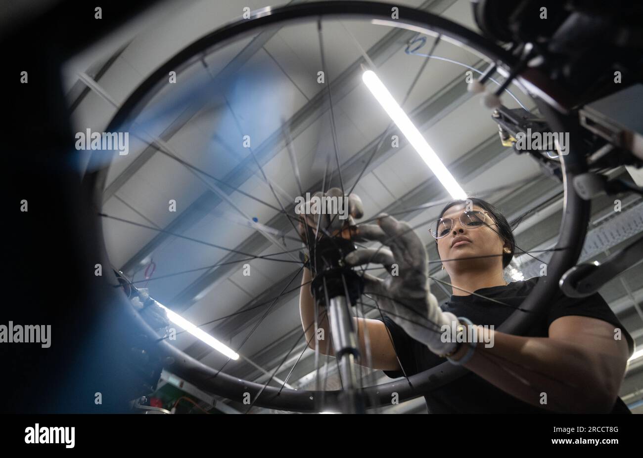 Genesis morenos hi-res stock photography and images - Alamy