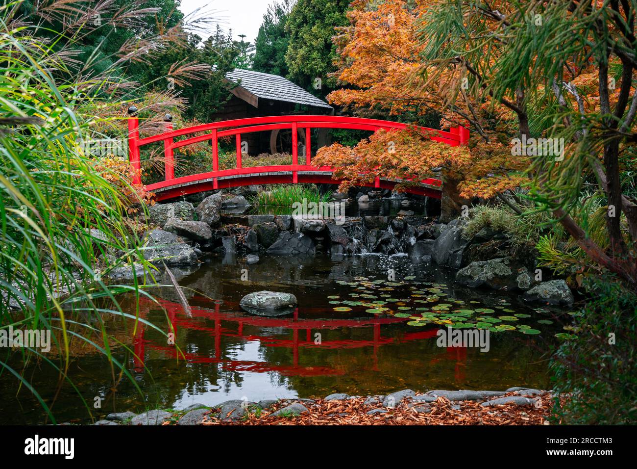 Japanese garden inside of the Royal Tasmanian Botanical Gardens in ...