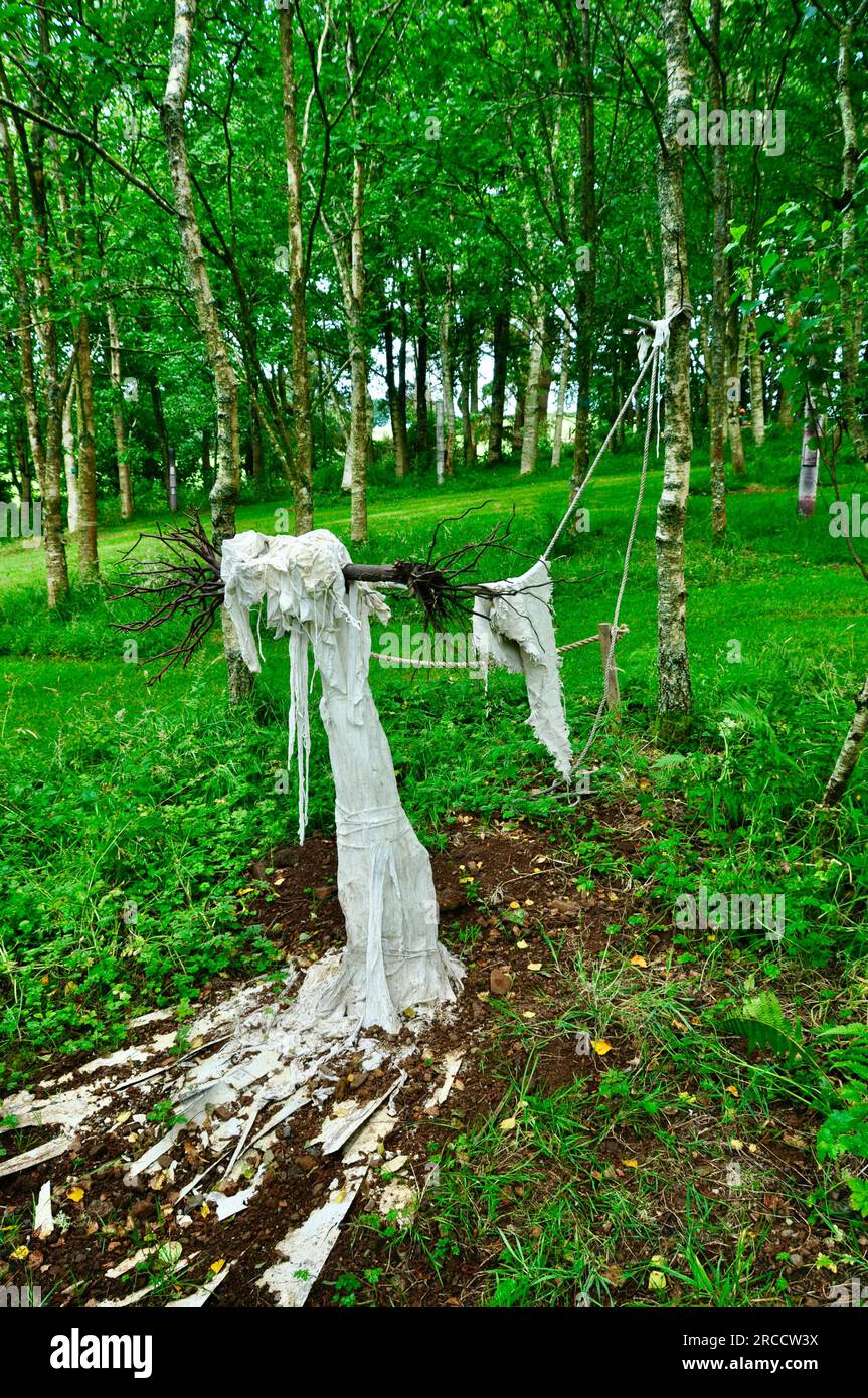 MK Lord - Construction of Night Ray - Uprooted shrub, soil, rope ...