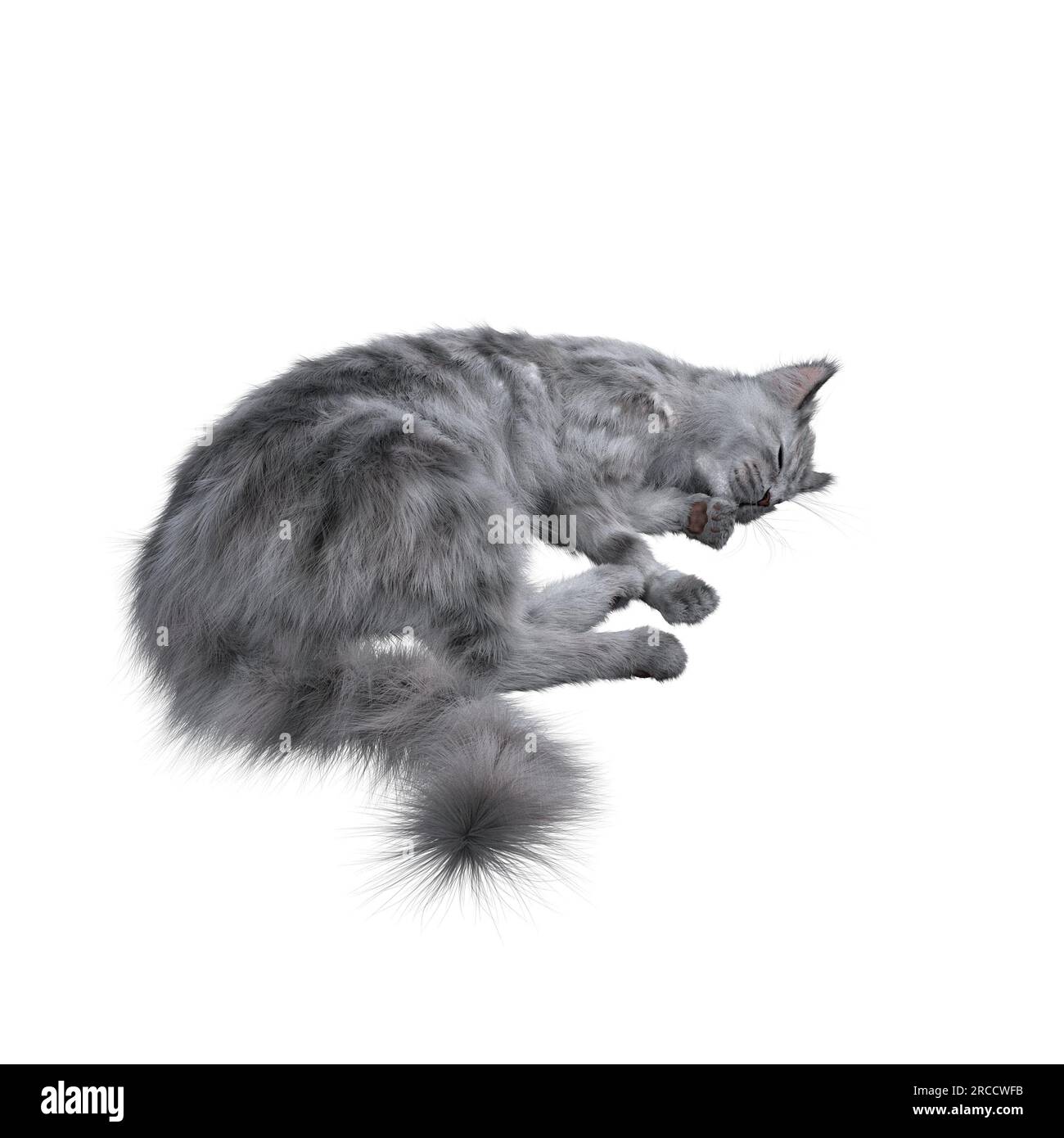 cat isolated on white background, 3D illustration, cg render Stock ...