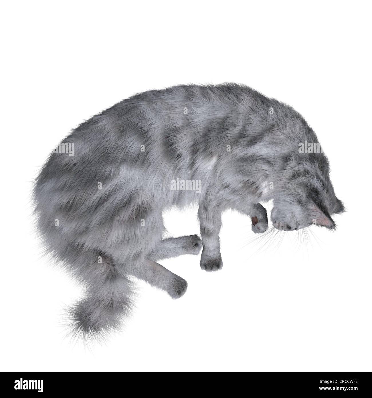 cat isolated on white background, 3D illustration, cg render Stock ...
