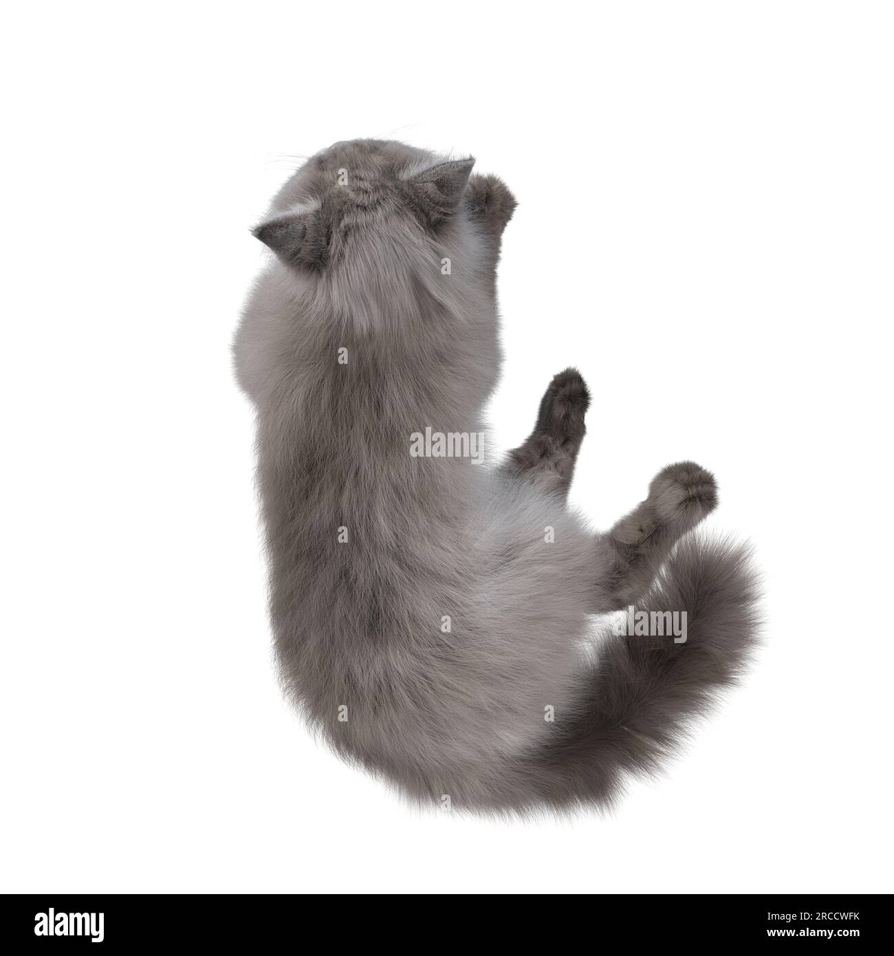 cat isolated on white background, 3D illustration, cg render Stock ...