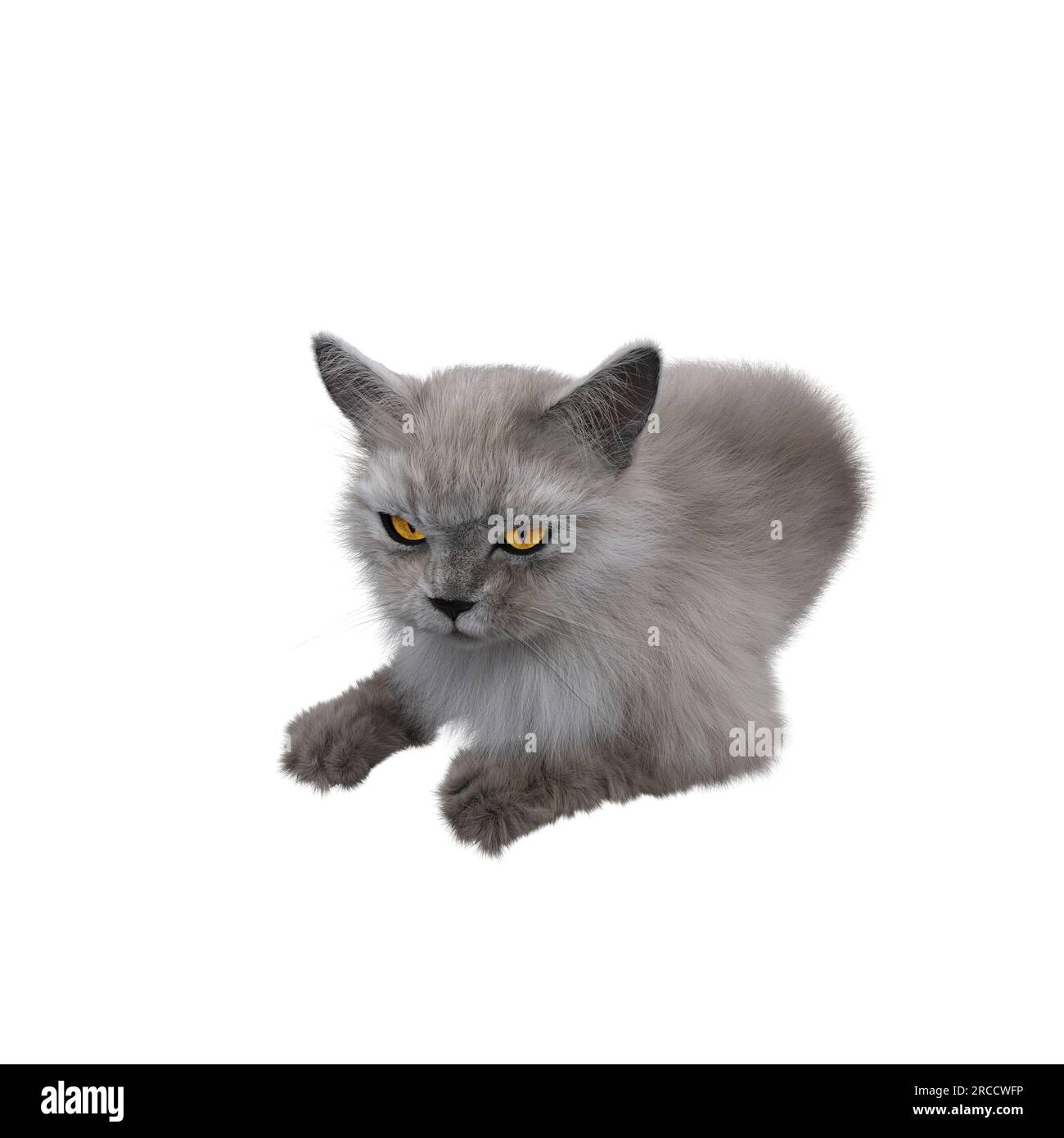 cat isolated on white background, 3D illustration, cg render Stock ...
