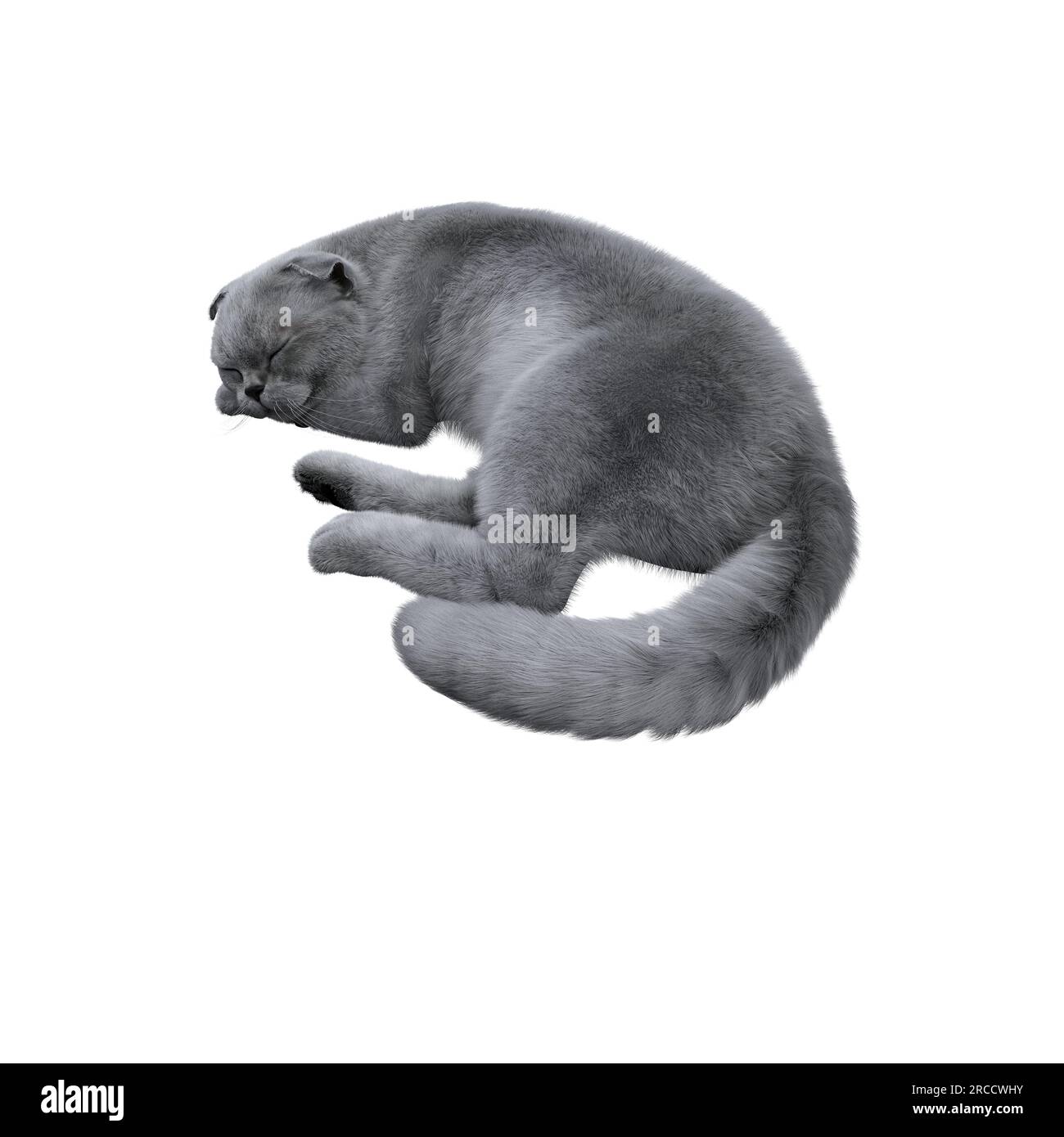 cat isolated on white background, 3D illustration, cg render Stock ...
