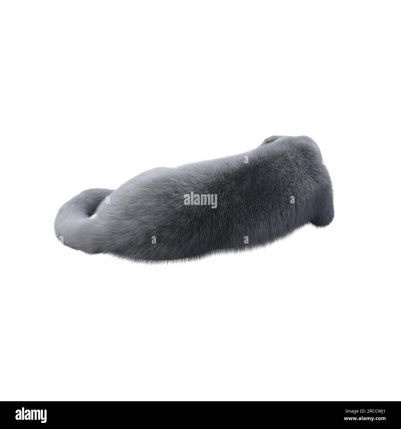 cat isolated on white background, 3D illustration, cg render Stock ...