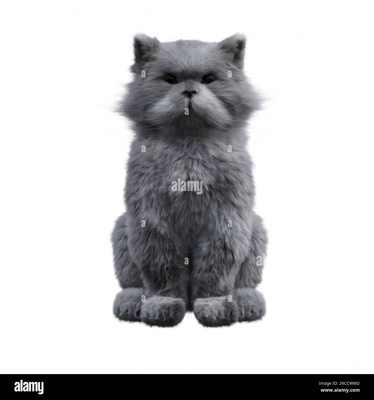cat isolated on white background, 3D illustration, cg render Stock ...