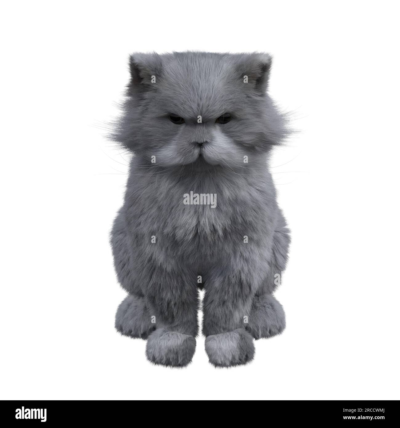 cat isolated on white background, 3D illustration, cg render Stock ...
